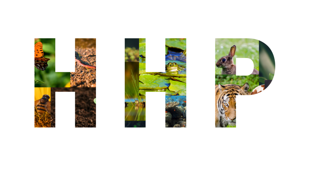 HHP site – HHP info India